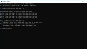 Ping Nedir? Ping Nasıl Atılır? 2025 - Verimin