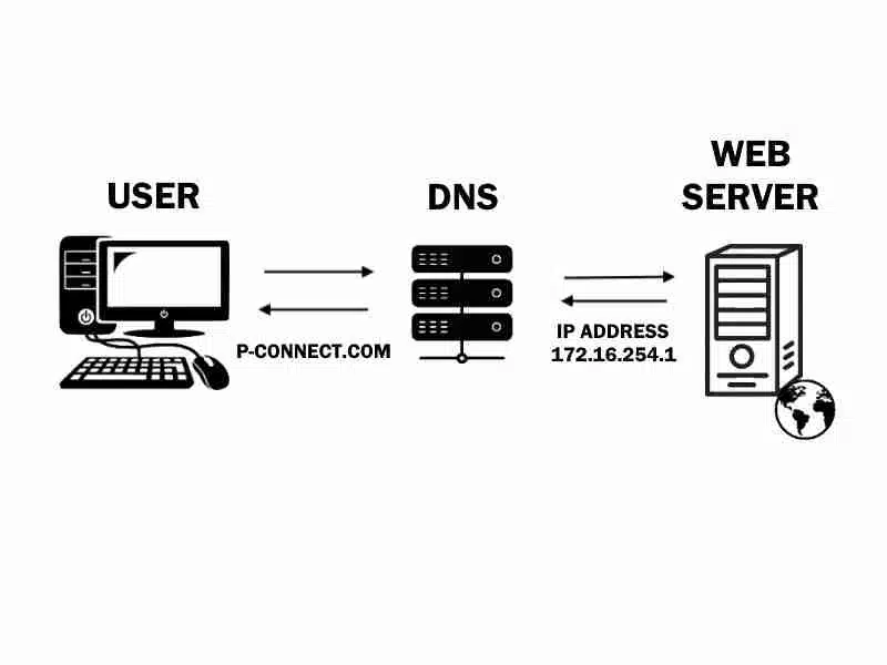 Nameserver (NS) Nedir? Domain Ile Nasıl Çalışır? - Verimin